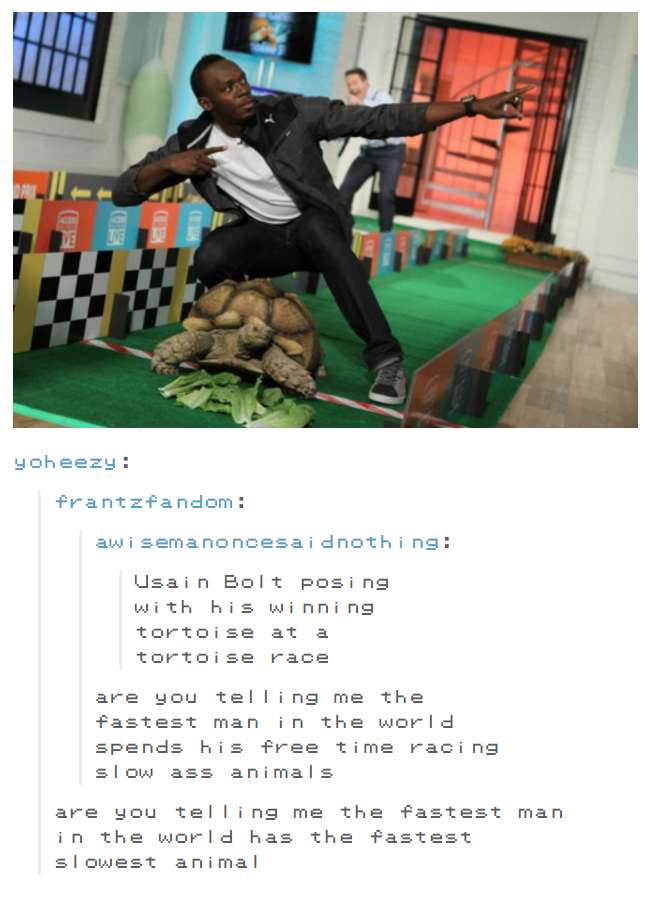 dash irl : r/MLPLounge